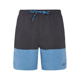 Protest Board Shorts 'PRTFreddie' male Blue size XS