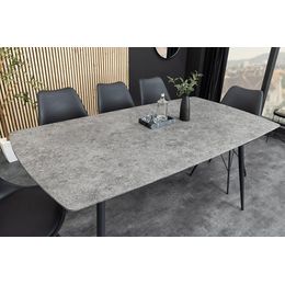 Riess Ambiente Industrial Esstisch APARTMENT 140cm grau Beton-Design schwarzes Metallgestell Riess-Ambiente Esszimmertisch rechteckig 6 Personen Industrie & Loft...