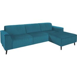 DOMO collection Ecksofa »Amora, inkl. Federkern, hoher Sitzkomfort, Breite 268 L-Form« mit Recamiere, zeitlos und elegant, Komfortsitzhöhe 47cm petrol