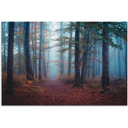 Artland Alu-Dibond-Druck &raquo;Wald im Nebel&laquo; Waldbilder 1 Stk. tlg. als Alubild, Outdoorbild in verschied. Gr&ouml;&szlig;en Farbe Bild(er): rot