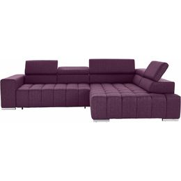 exxpo - sofa fashion Ecksofa &raquo;Elias, aktuelle Kreuzsteppung im Sitz, bequem, Breite 307cm, L-Form&laquo; mit Kopf- bzw. R&uuml;ckenverstellung, wahlweise mit 