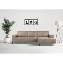 OTTO HOME Ecksofa »Polsterecke Oland, Struktur, Flachgewebe, Luxus-Microfaser, Boucle« L-Form, 280 cm, Wellenunterfederung, Skandi-Design,...