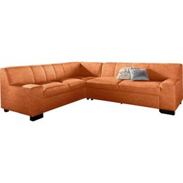 DOMO collection Ecksofa »Norma, moderne Armlehnen, zeitlos und elegant, Breite 247cm, L-Form« wahlweise mit Bettfunktion terrakotta