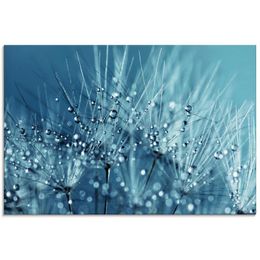 Artland Glasbild &raquo;Blaue glitzernde Pusteblume&laquo; Blumen 1 Stk. tlg. in verschiedenen Gr&ouml;&szlig;en Farbe Bild(er): blau