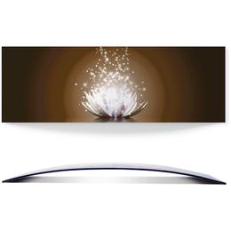 Artland Wandbild &raquo;Magie der Lotus-Blume&laquo; Blumen 1 Stk. tlg. 3D Optik gebogen Farbe Bild(er): braun