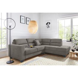 Trendmanufaktur Ecksofa &raquo;Chamber, zeitlos&modern, hoher Sitzkomfort, Breite 245cm, L-Form&laquo; wahlweise mit Schlaffunktion braun