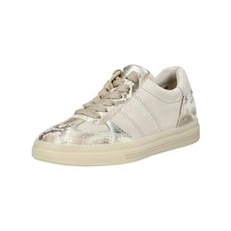 Paul Green Damen Schn&uuml;rschuh &raquo; Halbschuhe Veloursleder/Textil&laquo; 36