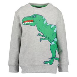 Blue Seven Sweatshirt &raquo;Jungen Sweatshirt&laquo;, 1 Stk. 920 - NEBEL 128 128 Sweatshirt f&uuml;r Dino-Liebhaber