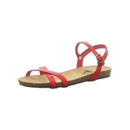 Plakton Sandale in rot | Gr.: 37