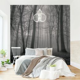 Bilderwelten Fototapete Textiltapete Stofftapete - nahtlose Tapete | Mystischer Wald im Nebel