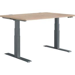 Sch&auml;fer Shop Sch&auml;fer Shop Genius Schreibtisch MODENA FLEX, elektrisch h&ouml;henverstellbar, Rechteck, T-Fu&szlig;, B 1200 x T 800 mm, Eiche/anthrazit