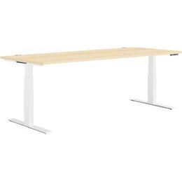 Sch&auml;fer Shop Sch&auml;fer Shop Genius Schreibtisch MODENA FLEX, elektrisch h&ouml;henverstellbar, Rechteck, T-Fu&szlig;, B 1800 x T 800 mm, Ahorn/wei&szlig;