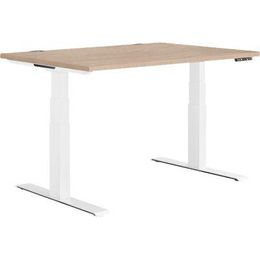 Sch&auml;fer Shop Sch&auml;fer Shop Genius Schreibtisch MODENA FLEX, elektrisch h&ouml;henverstellbar, Rechteck, T-Fu&szlig;, B 1200 x T 800 mm, Eiche-Dekor/wei&szlig;