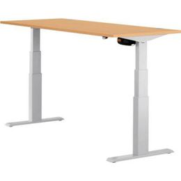 Sch&auml;fer Shop Sch&auml;fer Shop Select Schreibtisch ERGO-T, elektrisch h&ouml;henverstellbar, Rechteck, T-Fu&szlig;, B 1600 x T 800 x H 640-1300 mm, Buche-Dekor/wei&szlig;aluminium