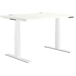 Sch&auml;fer Shop Sch&auml;fer Shop Genius Schreibtisch MODENA FLEX, elektrisch h&ouml;henverstellbar, Rechteck, T-Fu&szlig;, B 1200 x T 800 mm, wei&szlig;/wei&szlig;
