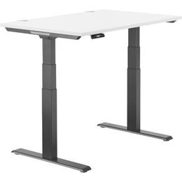 Sch&auml;fer Shop Sch&auml;fer Shop Genius Schreibtisch MODENA FLEX, elektrisch h&ouml;henverstellbar, Rechteck, T-Fu&szlig;, B 1200 x T 800 mm, wei&szlig;/anthrazit