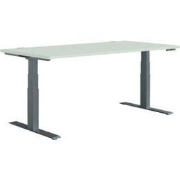 Sch&auml;fer Shop Sch&auml;fer Shop Genius Schreibtisch MODENA FLEX, elektrisch h&ouml;henverstellbar, Rechteck, T-Fu&szlig;, B 1600 x T 800 mm, lichtgrau/anthrazit