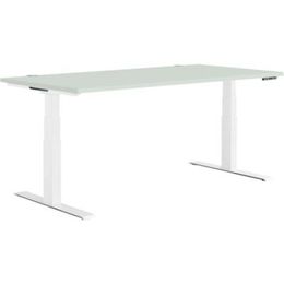 Sch&auml;fer Shop Sch&auml;fer Shop Genius Schreibtisch MODENA FLEX, elektrisch h&ouml;henverstellbar, Rechteck, T-Fu&szlig;, B 1600 x T 800 mm, lichtgrau/wei&szlig;