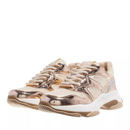Steve Madden Sneaker - Medallist 2 - Gr. 37 (EU) - in Ros&eacute;gold - f&uuml;r Damen