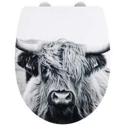 WC-Sitz Wenko, B:36,5cm L:45cm, bunt, Edelstahl, Thermoplast, WC-Sitze, "Yak", mit Softclose, aus Thermoplast