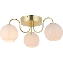 Nordlux Pendelleuchte "Franca", 3, &Oslash; 13cm H: 18cm, 1 Stk., gold, Esszimmer, Leuchten