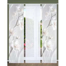 Schiebegardine HOME IN GREEN, B:60cm H:245cm, beige, Polyester, Wohnzimmer, Gardinen, "LAIRA", SET DIGITALDRUCK,BAMBUSOPTIK RECYCELT