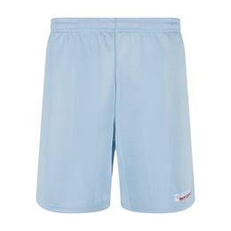 Karl Kani Damen Shorts "Karl Kani Herren Karl Kani Sports Shadow Stripe Shorts"light blau, Gr. S, 100% Polyester, Hosen