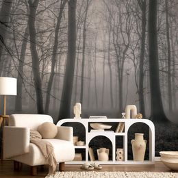 Bilderwelten Fototapete Mystischer Wald im Nebel