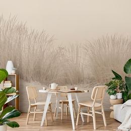 Bilderwelten Fototapete D&uuml;nengras in Beige
