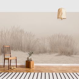 Bilderwelten Fototapete D&uuml;nengras in Beige
