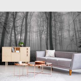 Bilderwelten Fototapete Mystischer Wald im Nebel