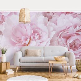 Bilderwelten Fototapete Pfingstrosenbl&uuml;ten Rosa