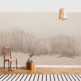 Bilderwelten Fototapete D&uuml;nengras in Beige
