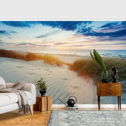 Bilderwelten Fototapete Grasd&uuml;nen an der Ostsee