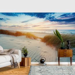 Bilderwelten Fototapete Grasd&uuml;nen an der Ostsee