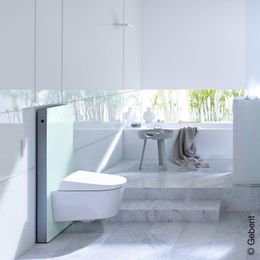Geberit Monolith Sanit&auml;rmodul f&uuml;r Wand-WC, 131022SL5,