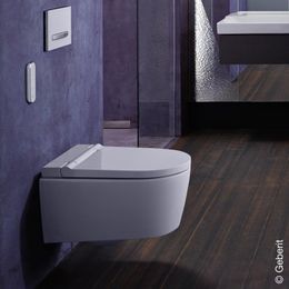 Geberit AquaClean Sela Wand-Dusch-WC mit TurboFlush, mit WC-Sitz, 146220111,