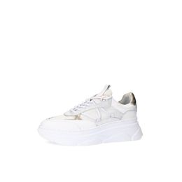 Sacha London SACHA Sneaker Damen Größe 40 weiß