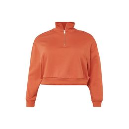 LEVI'S&reg; PLUS Levi's Plus Sweatshirt 'PL Cosmo 1/4 Zip' female Red size 3x