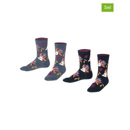 Esprit 2er-Set: Socken "Hedgehog" in Schwarz/ Grau - 39% | Größe 31-34 | Kinder-socken-strumpfhosen