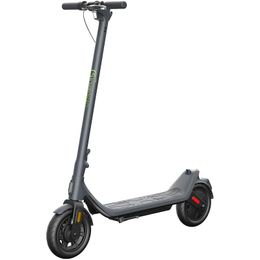 SACHSENRAD E-Scooter &raquo;A11&laquo; 20 km/h 30 km schwarz Keine Sorgen mehr wegen Reifenpannen, 10-Zoll pannensichere und schlauchlose Reifen