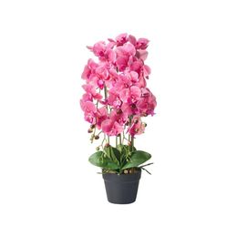 Beliani Kunstpflanze ORCHID in Grün/Rosa - (W) 35 x (H) 65 x (L) 35 cm | Gr.: onesize