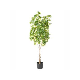 Beliani Kunstpflanze GINKGO TREE in Grün/Schwarz - (W) 60 x (H) 150 x (L) 60 cm | Gr.: onesize