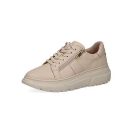 Caprice Leder-Sneakers in Beige | Gr.: 38