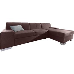 Ecksofa DOMO collection "Star, zeitlose Formensprache, elegante Optik, Breite 248cm, L-Form", braun (mokka), B:248cm H:74cm T:150cm, Softlux-Kunstleder;Primabelle-Microfaser;Struktur (90% Polyester und 10% Polyacryl), Sofas, Ecksofa, wahlweise mit Bettfunktion