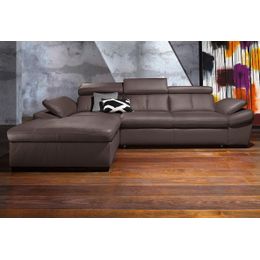 Ecksofa exxpo - SOFA FASHION "Salerno, Funktionssofa, Breite 280cm, hoher Sitzkomfort, L-Form", braun (schoko), B:280cm H:77cm T:170cm, Microfaser-Primabelle (100% Polyester);NaturLEDER;Kunstleder;Lederfaserstoff;Luxus-Microfaser Lederoptik, Sofas, Ecksofa, inkl. Kopf- und Armteilverstellung, wahlweise mit Bettfunktion