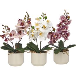 Kunstorchidee Creativ green "Orchidee Phalaenopsis", mauve, wei&szlig;, cremelila, H:28cm &Oslash;:18cm, Kunststoff, Kunstpflanzen, mit real-touch-Bl&uuml;ten