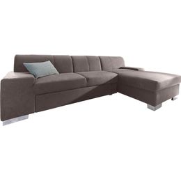 Ecksofa DOMO collection "Star, zeitlose Formensprache, elegante Optik, Breite 248cm, L-Form", grau, B:248cm H:74cm T:150cm, Softlux-Kunstleder;Primabelle-Microfaser;Struktur (90% Polyester und 10% Polyacryl), Sofas, Ecksofa, wahlweise mit Bettfunktion