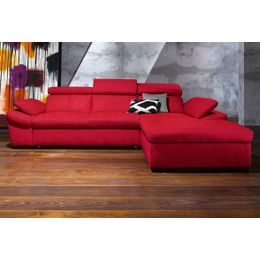 Ecksofa exxpo - SOFA FASHION "Salerno, Funktionssofa, Breite 280cm, hoher Sitzkomfort, L-Form", rot, B:280cm H:77cm T:170cm, Microfaser-Primabelle (100% Polyester);NaturLEDER;Kunstleder;Lederfaserstoff;Luxus-Microfaser Lederoptik, Sofas, Ecksofa, inkl. Kopf- und Armteilverstellung, wahlweise mit Bettfunktion