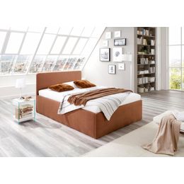 Polsterbett ""Davos", OTTOs Choice Topseller", braun, B:205cm H:98cm L:210cm, Bezug Bett: Microfaser (100% Polyester);Bonnell-Federkernmatratze: 51% Polypropylen, 39% Polyester und 10% Baumwolle;Kaltschaummatratze: 100% Polyester, Bezug abnehm- und waschbar bis 60C, Westfalia Schlafkomfort, Betten, Polsterbett, inkl. Bettkasten bei Ausführung mit Matratze